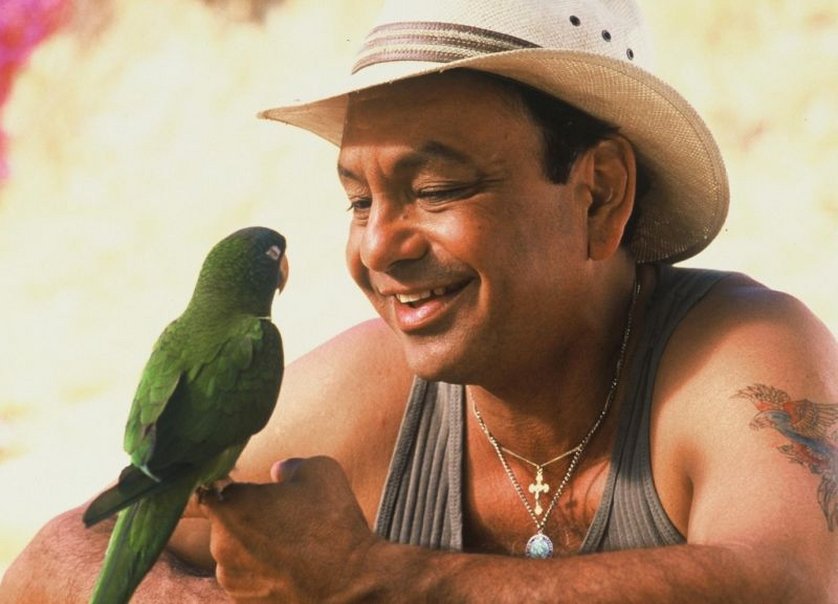 Paulie: DVD oder Blu-ray leihen - VIDEOBUSTER.de