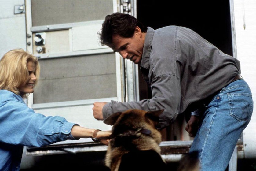 Bad Moon: DVD oder Blu-ray leihen - VIDEOBUSTER.de