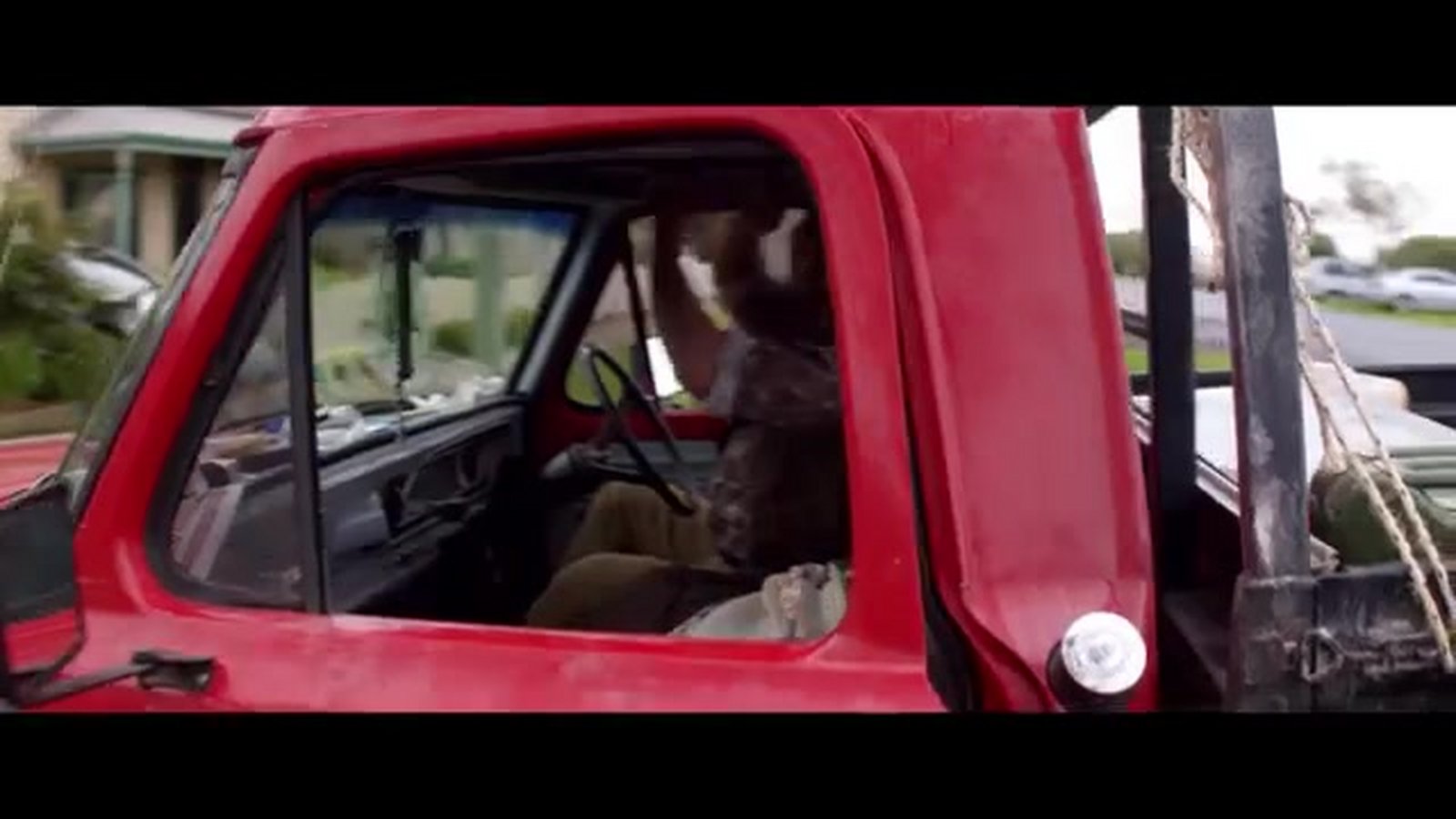 Oddball: Stream, Blu-ray, 4K UHD oder DVD - VIDEOBUSTER