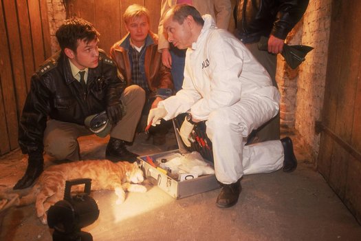 Abschnitt 40 - Staffel 3: DVD oder Blu-ray leihen - VIDEOBUSTER.de