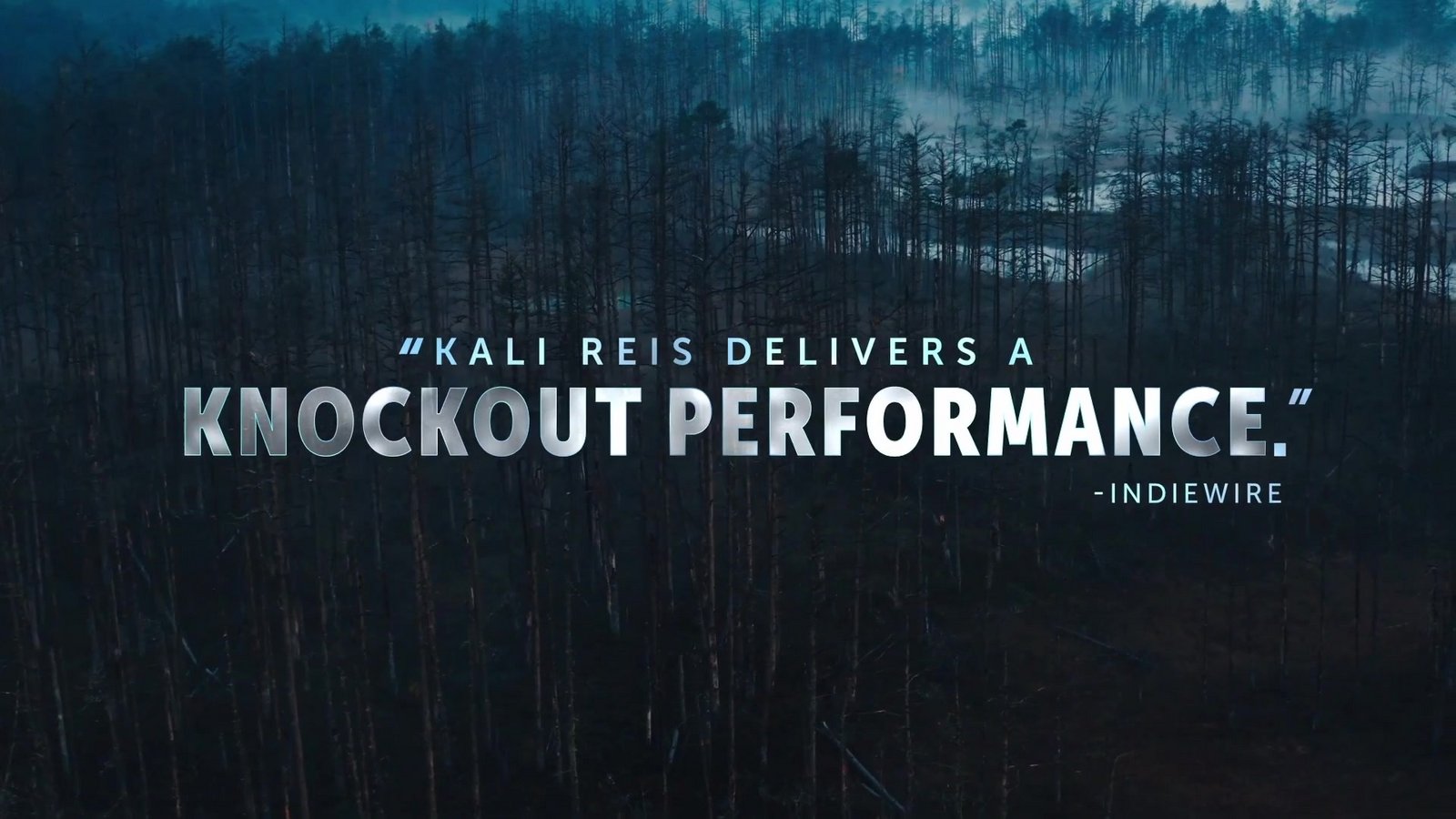 Catch the Fair One: Stream, Blu-ray, 4K UHD oder DVD - VIDEOBUSTER