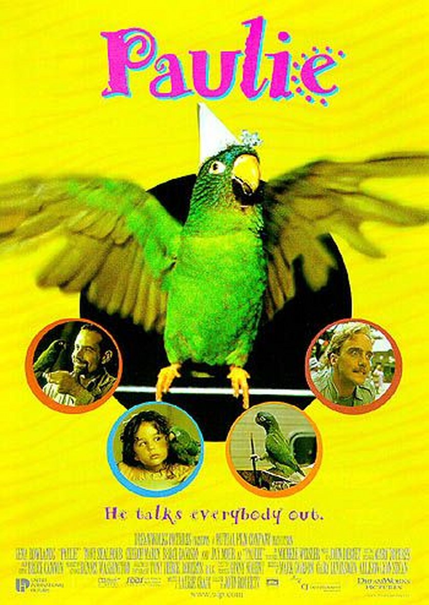 Paulie: DVD oder Blu-ray leihen - VIDEOBUSTER.de