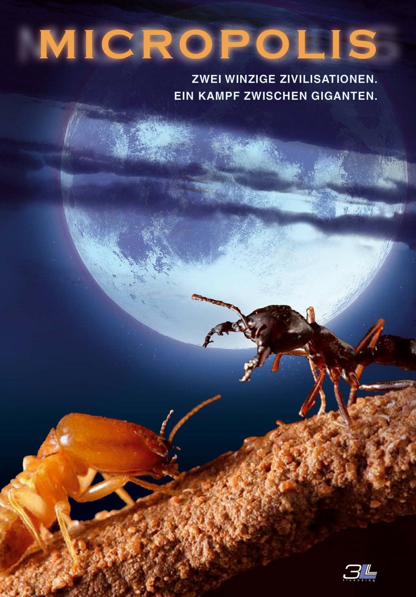 Micropolis: DVD oder Blu-ray leihen - VIDEOBUSTER.de
