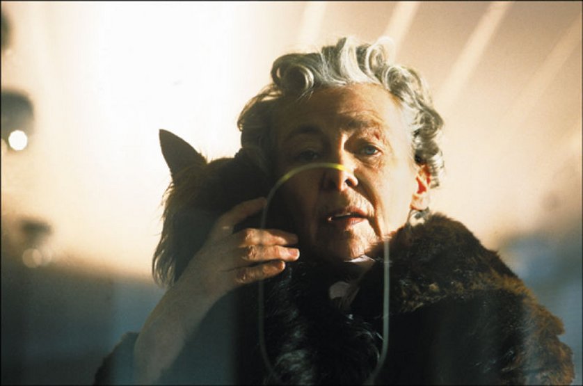 Fiasko: DVD oder Blu-ray leihen - VIDEOBUSTER.de