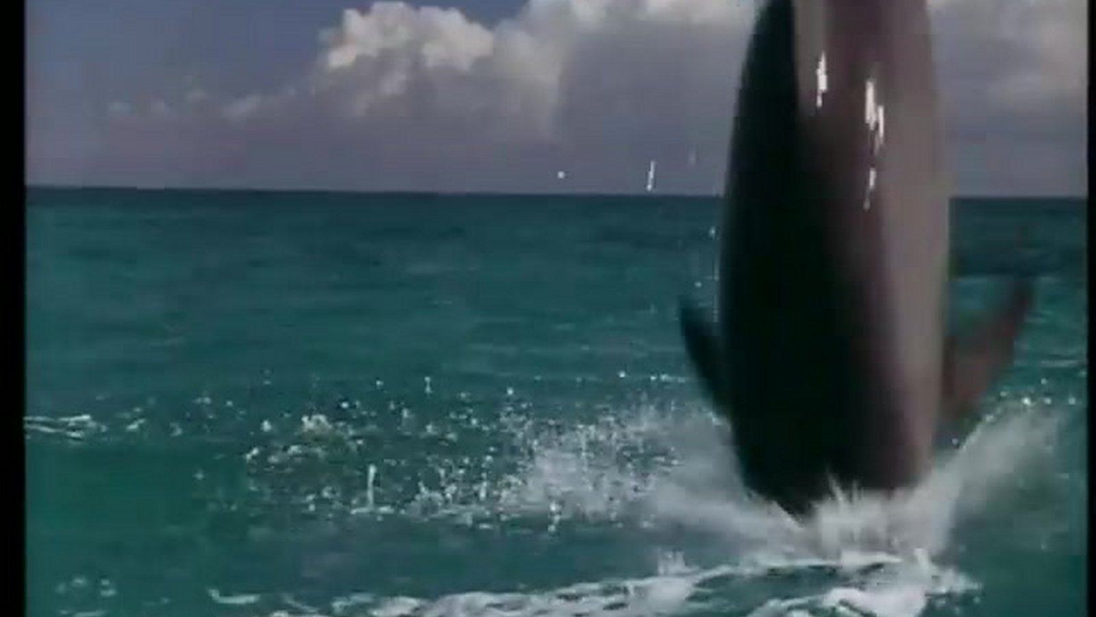 Zeus & Roxanne: Blu-ray, 4K UHD, DVD leihen - VIDEOBUSTER