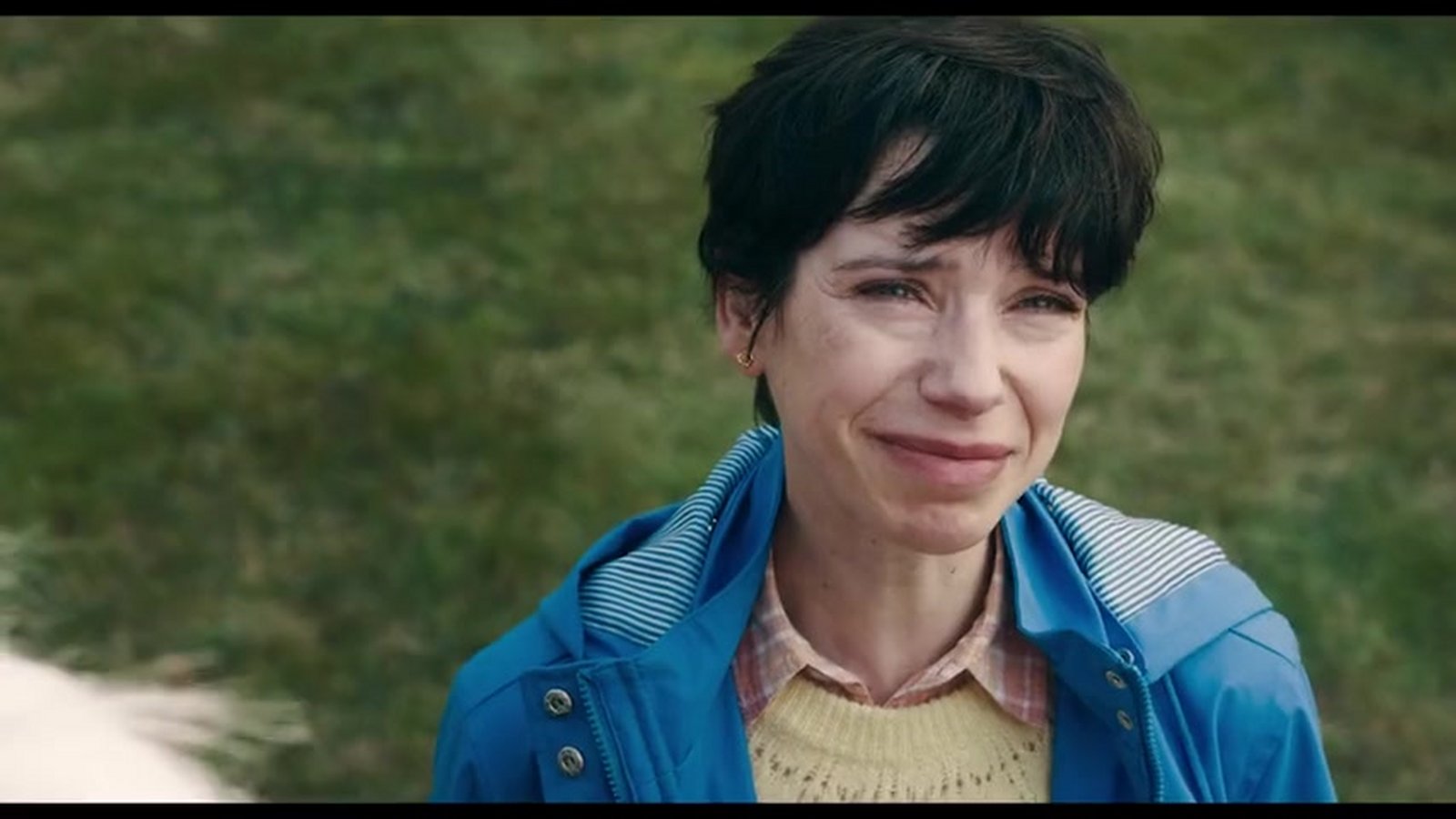 The Lost King: Blu-ray, 4K UHD, DVD leihen - VIDEOBUSTER