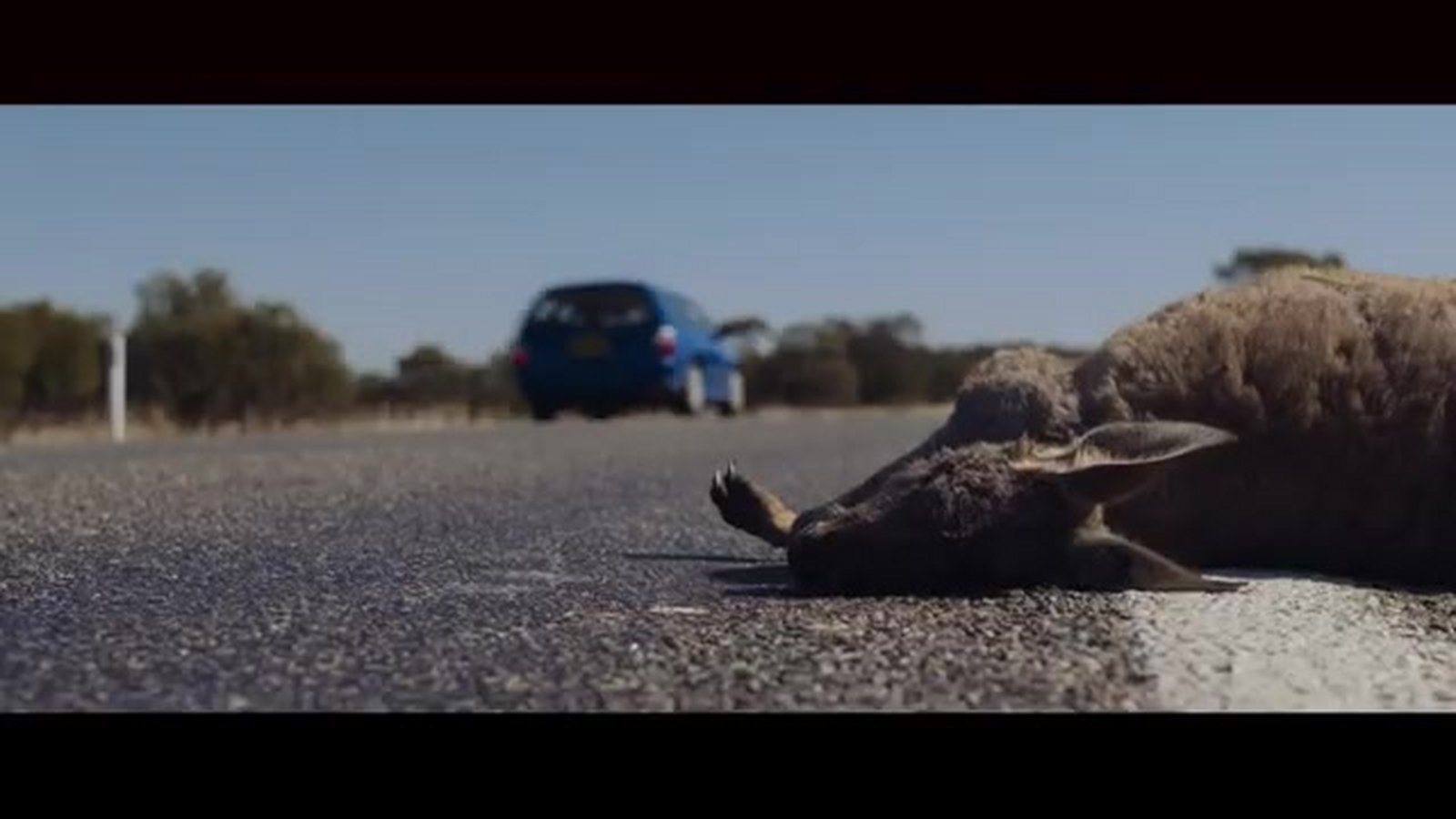 Outback: Stream, Blu-ray, 4K UHD oder DVD - VIDEOBUSTER