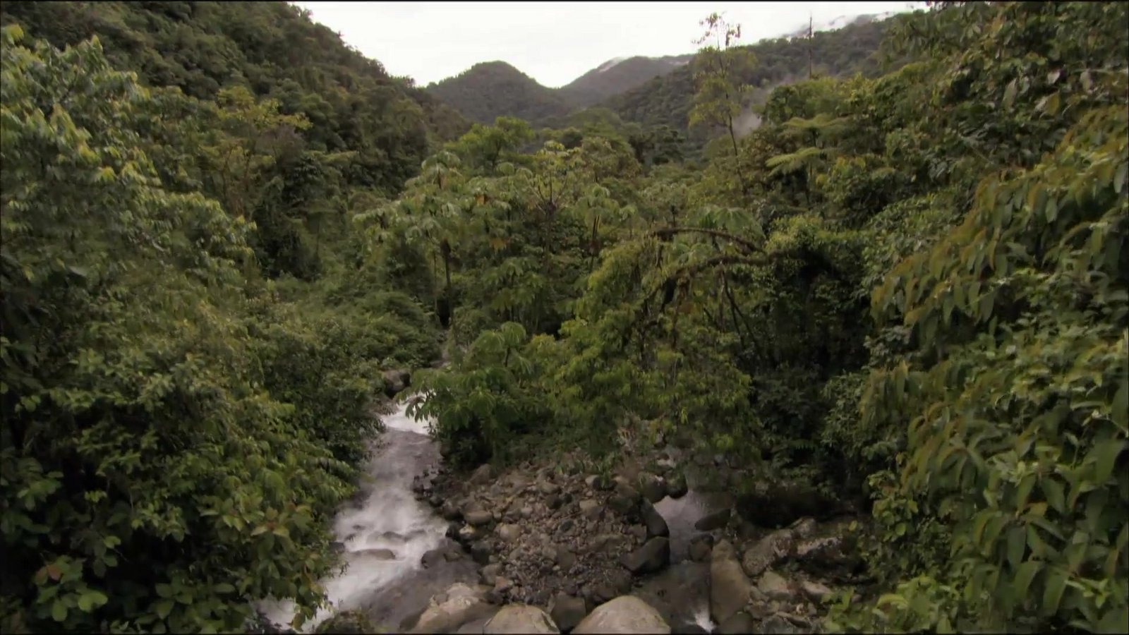 Mythos Amazonas: Blu-ray, 4K UHD, DVD leihen - VIDEOBUSTER