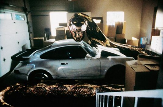 Python: DVD oder Blu-ray leihen - VIDEOBUSTER.de